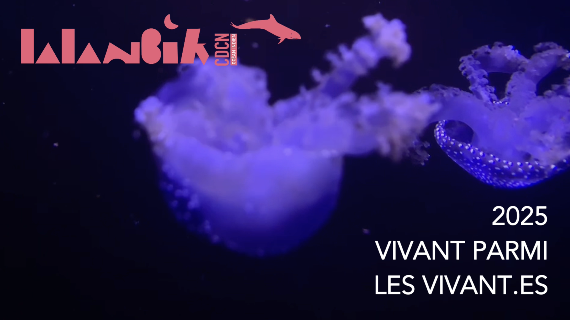 2025 - VIVANT PARMI LES VIVANT·ES | Lalanbik